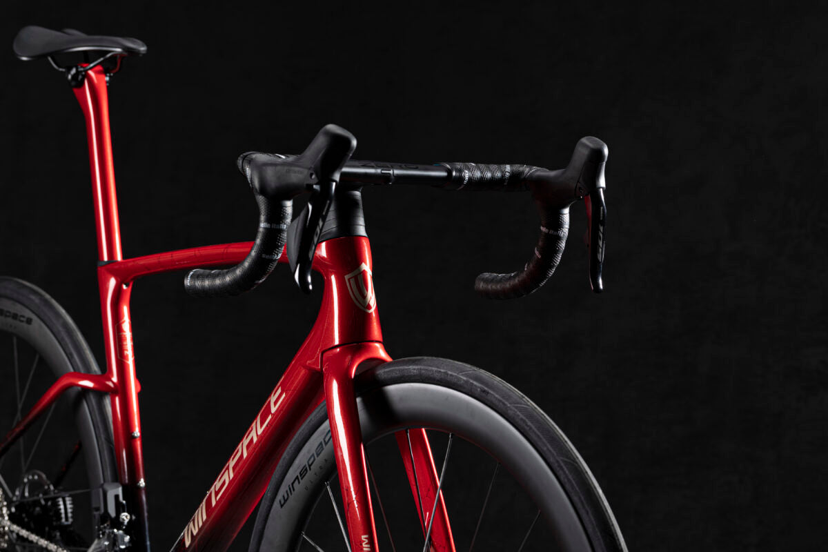 Agile Winspace Carbon Frameset - Performance Race Road Bike