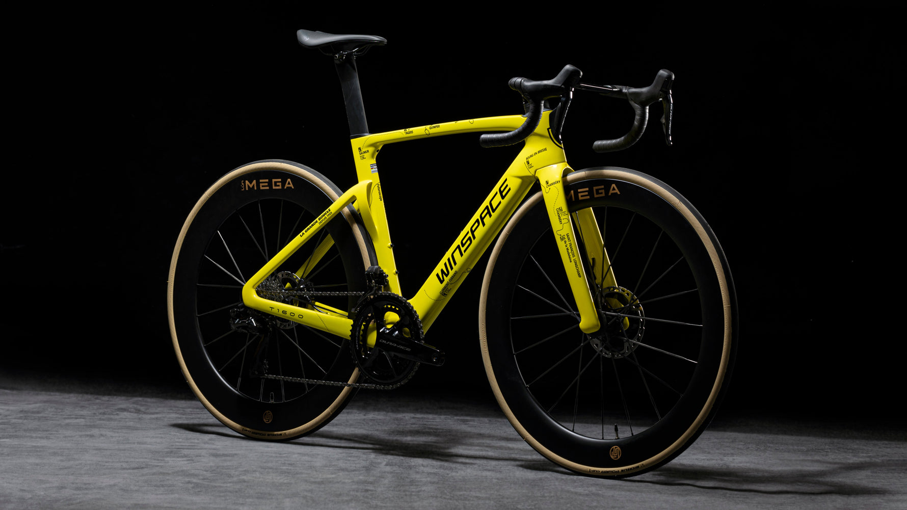 T1600 Winspace Aero Race Bike