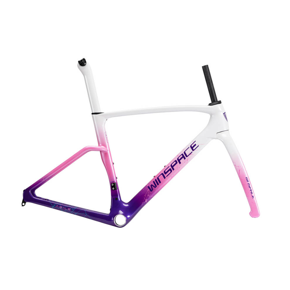 Agile Winspace Carbon Frameset - Performance Race Road Bike